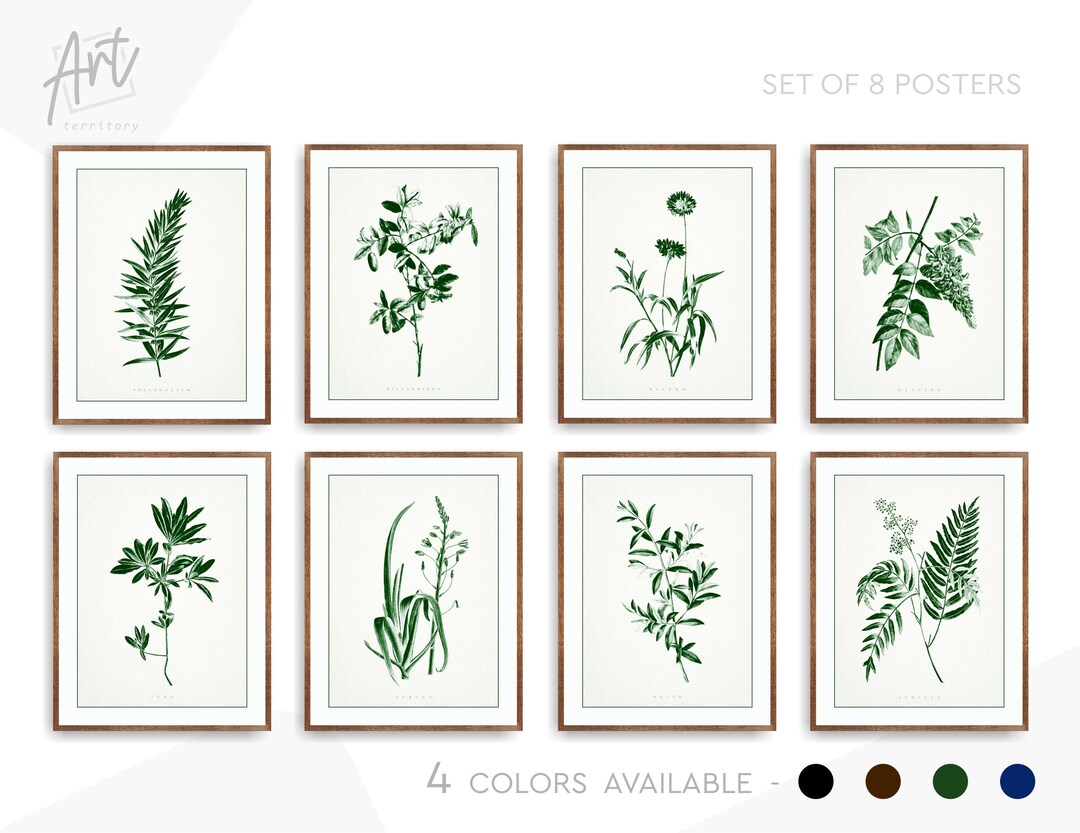 Set of 8 Vintage Botanical Collage Prints Large French Poster Wall Art ...