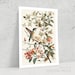 Hummingbird Aesthetic Botanical Art Canvas Print, Vintage Floral Wall ...