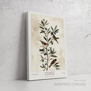 Olive Tree Branch Botanical Poster Print, Floral Canvas Wall Art - Etsy