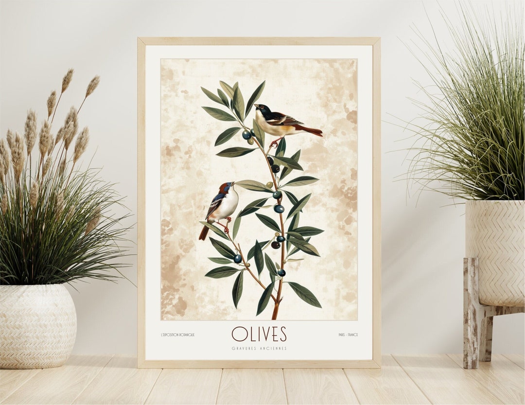 Olive Tree Branch Botanical Canvas Wall Art, Floral Poster Print - Etsy