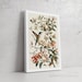Hummingbird Aesthetic Botanical Art Canvas Print, Vintage Floral Wall ...