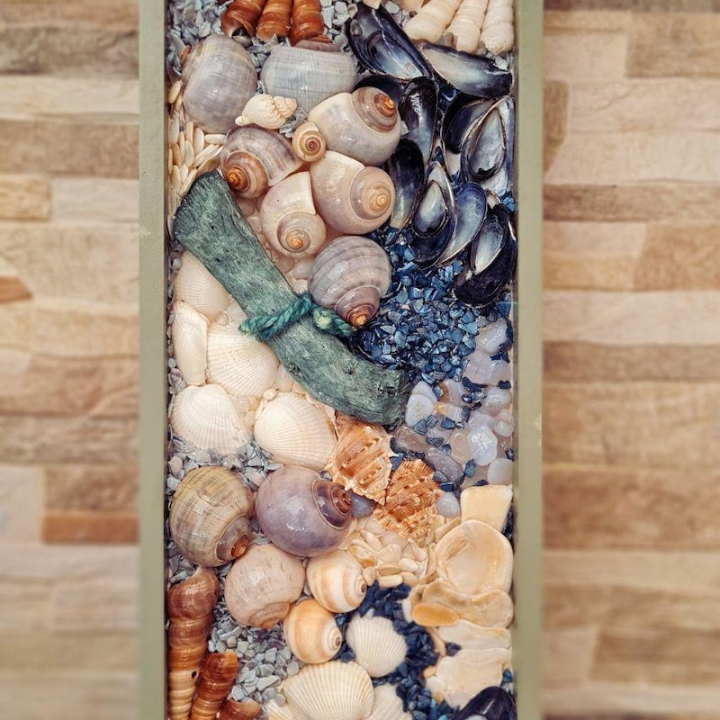 Framed Shell Art - Etsy