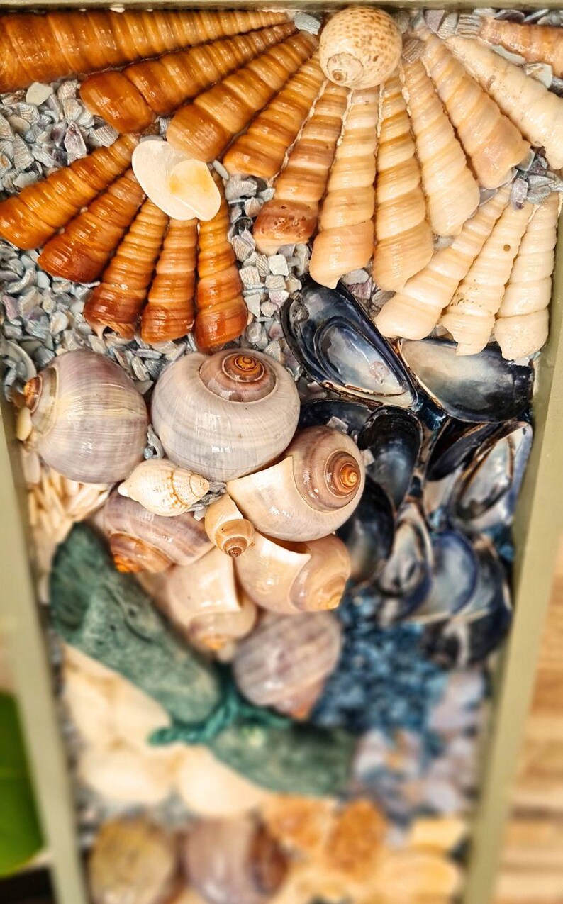 Framed Seashell Collage Wall Art Handmade Coastal Wall Hanging, Grey ...