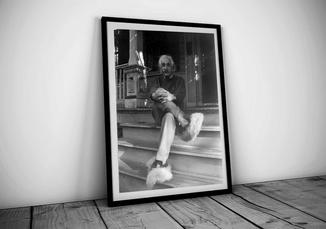 Albert Einstein Fuzzy Slippers Print | Vintage Humor Photo | Nerdy Gift ...
