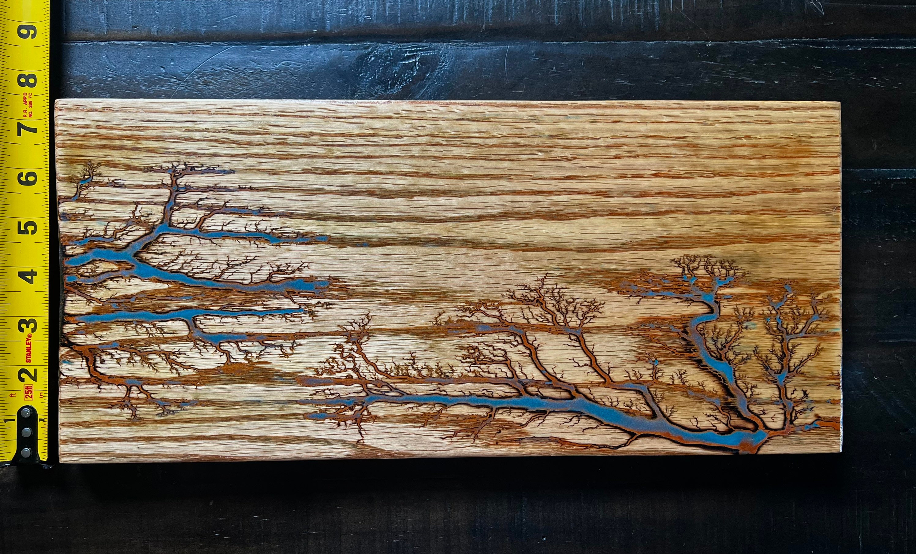 Fractal Burn/lichtenberg Art - Etsy