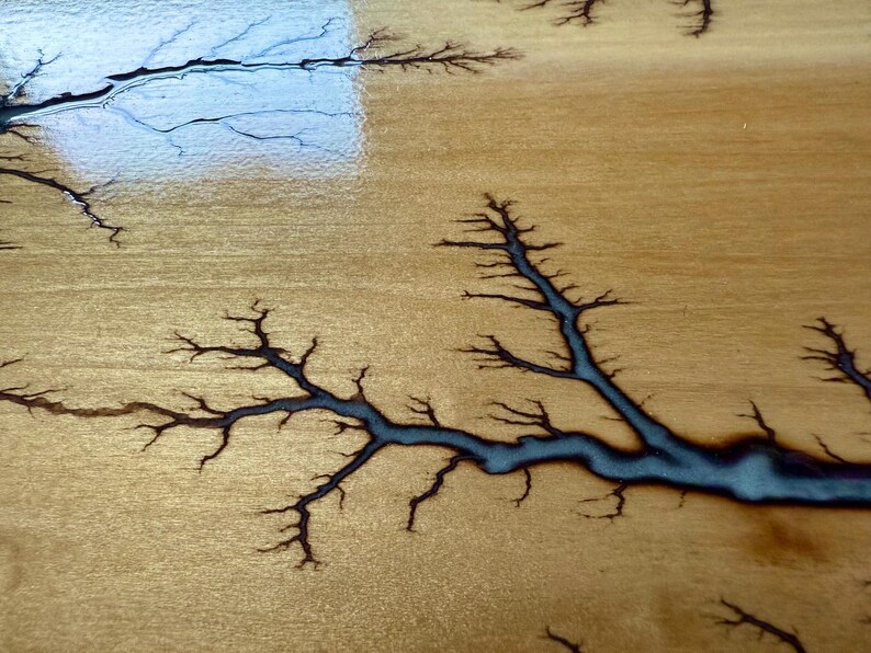 Fractal Burn/lichtenberg Artwork - Etsy