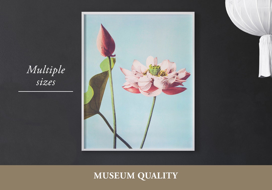Japanese PRINTABLE ART Lotus Flowers by Ogawa Kazumasa Japan Art, Japan ...