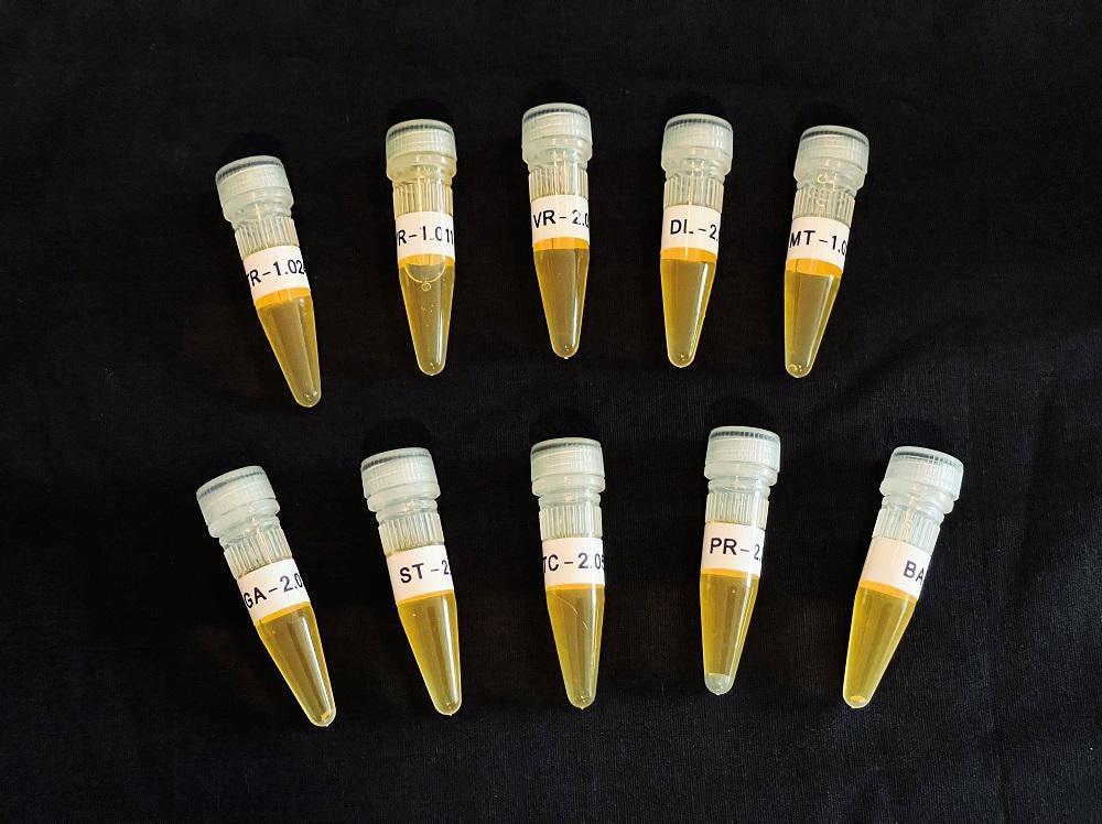 Jurassic Park Dinosaur Embryo Cryo Vials - Set of 10 - 100% Screen ...