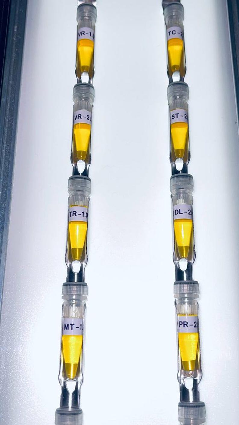 Jurassic Park Dinosaur Embryo Cryo Vials - Set of 10 - 100% Screen ...