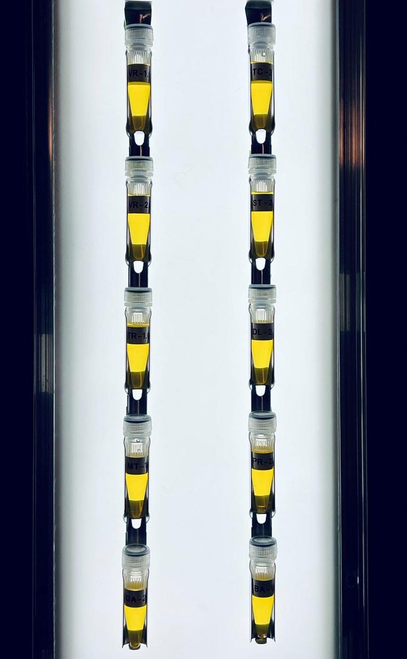 Jurassic Park Dinosaur Embryo Cryo Vials - Set of 10 - 100% Screen ...
