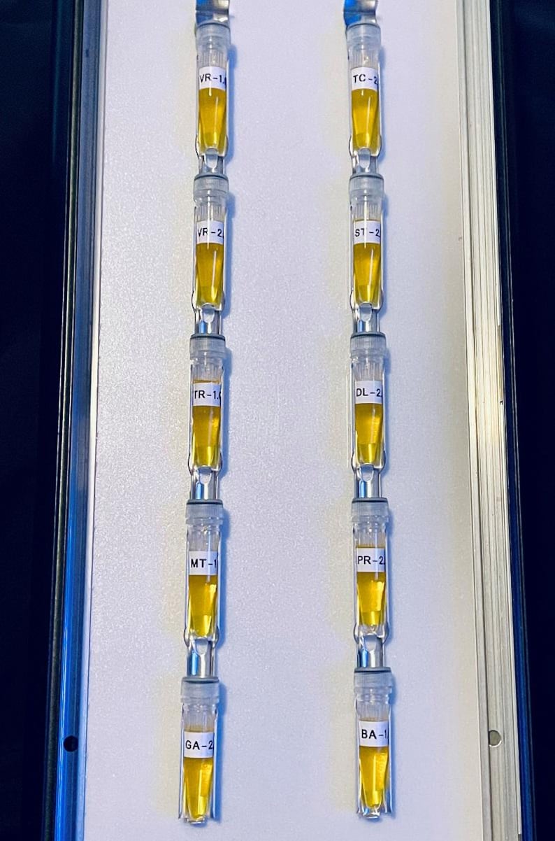 Jurassic Park Dinosaur Embryo Cryo Vials - Set of 10 - 100% Screen ...