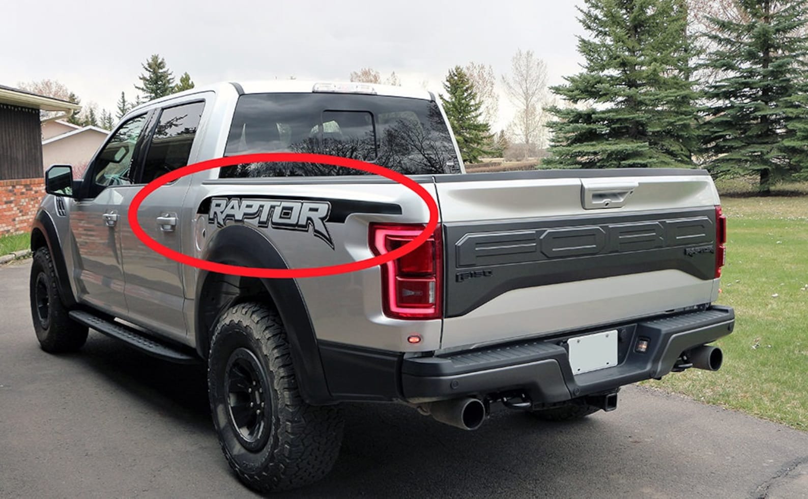 RAPTOR Svt 2017 2018 2019 Fender Bed Side Logo Graphics F150 F-150 ...