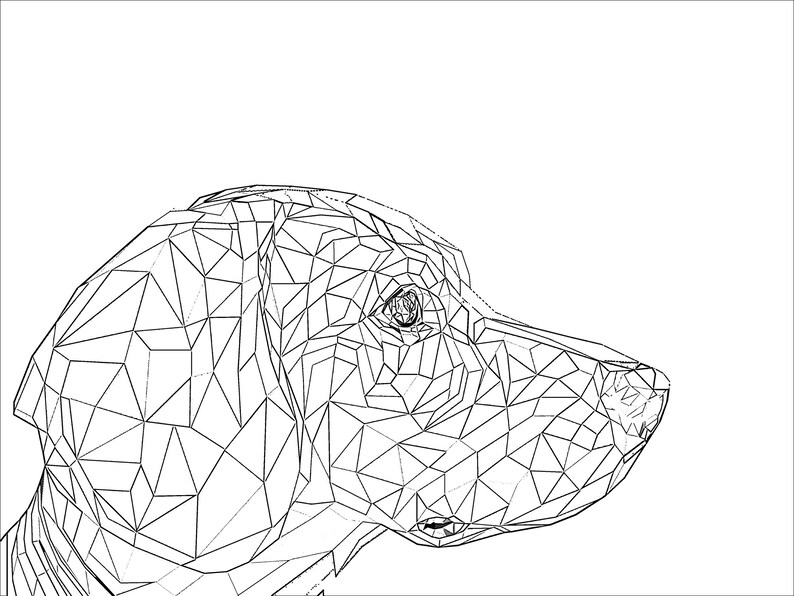 Polygon Coloring Page Coloring Pages