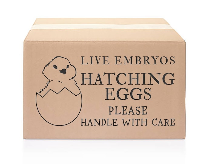 Egg Tree Seeds - Etsy