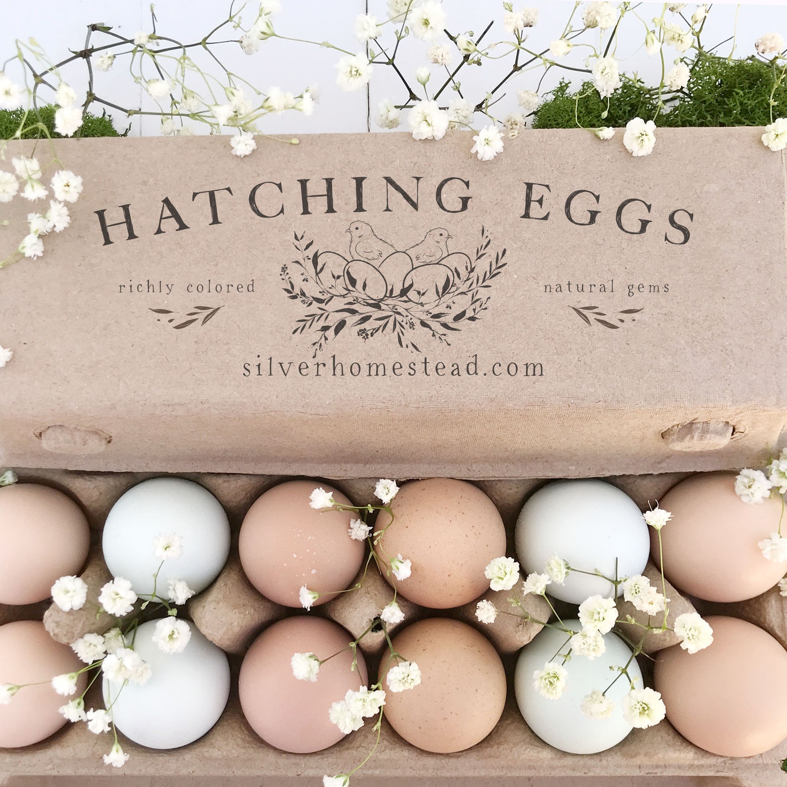 Egg Carton Rubber Stamp | Hatching Egg Branding Chicks in Nest | Hand ...