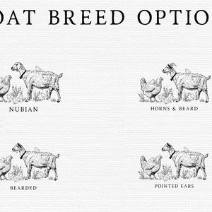 Egg Carton Rubber Stamp | 4x2 Inch Goat + Chicken Hen + Chicks | Select ...