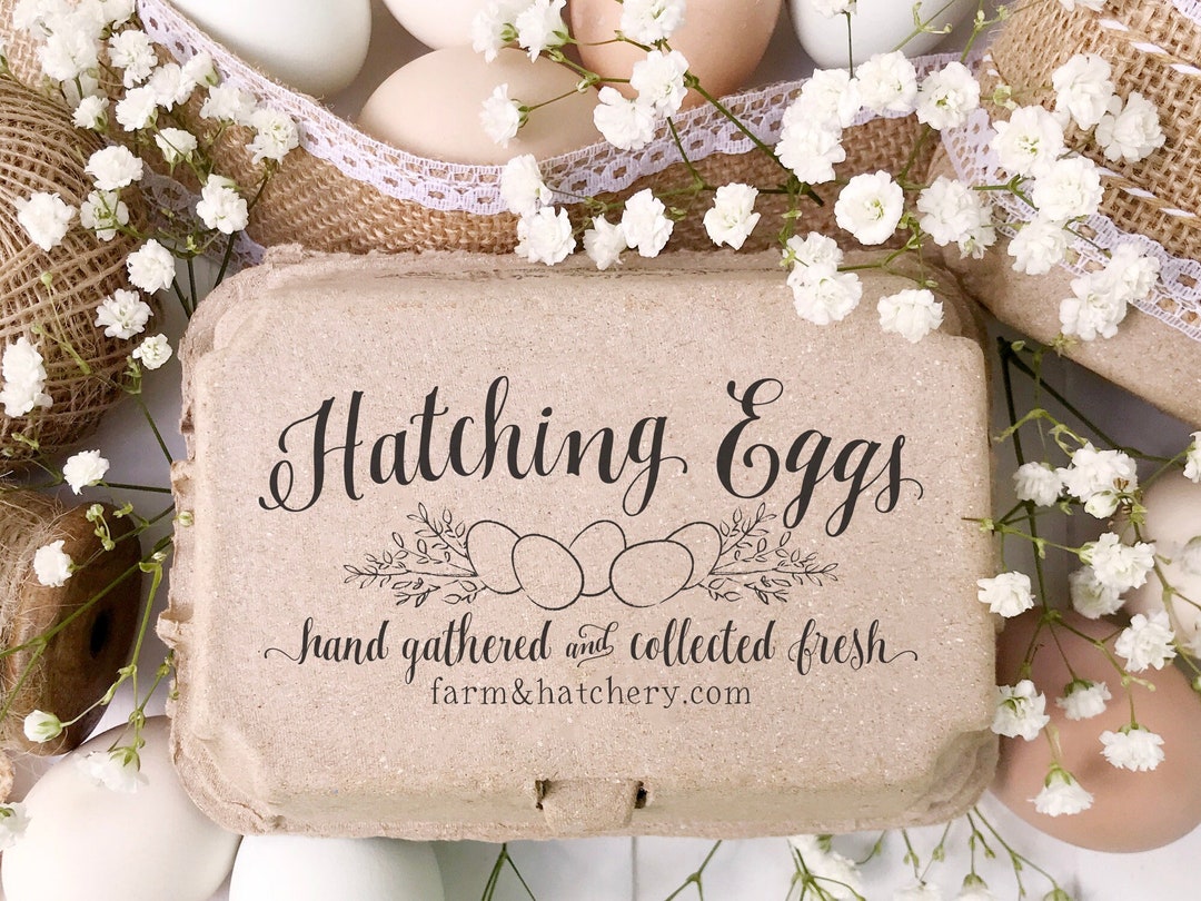 Hatching Egg Carton Rubber Stamp 4x2 Inch | Half & Full Dozen Split ...