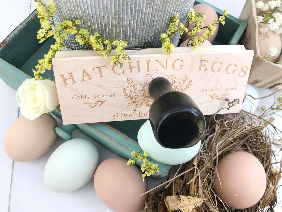 Egg Carton Rubber Stamp Hatching Egg Branding Chicks in Nest | Etsy