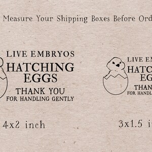 Egg Shipping Stamp | Hatching Egg Live Embryo Handle With Care | Egg ...