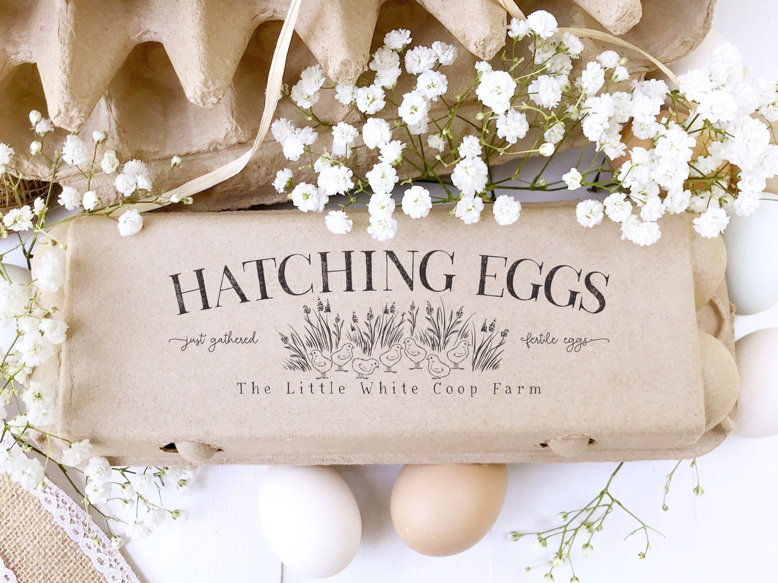 Egg Carton Rubber Stamp | Hatching Eggs Chicks in Grass | Hand Drawn ...