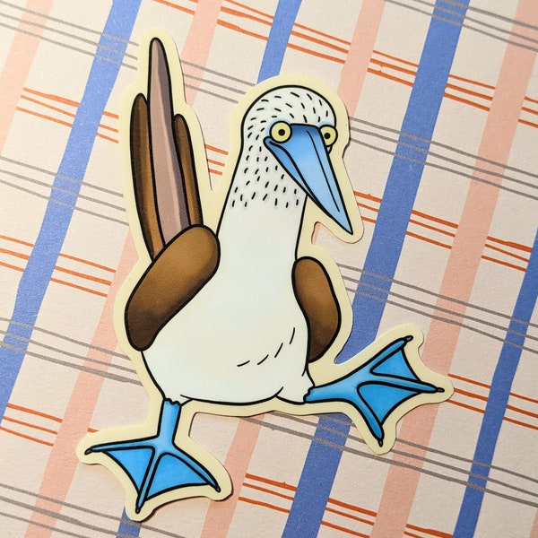 Blue Footed Booby - Etsy
