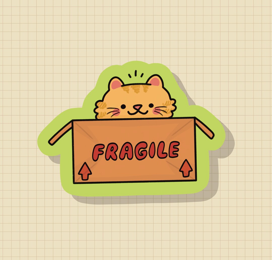 Fragile Box Cat Sticker OR Magnet | Die Cut | Waterproof Vinyl - Etsy