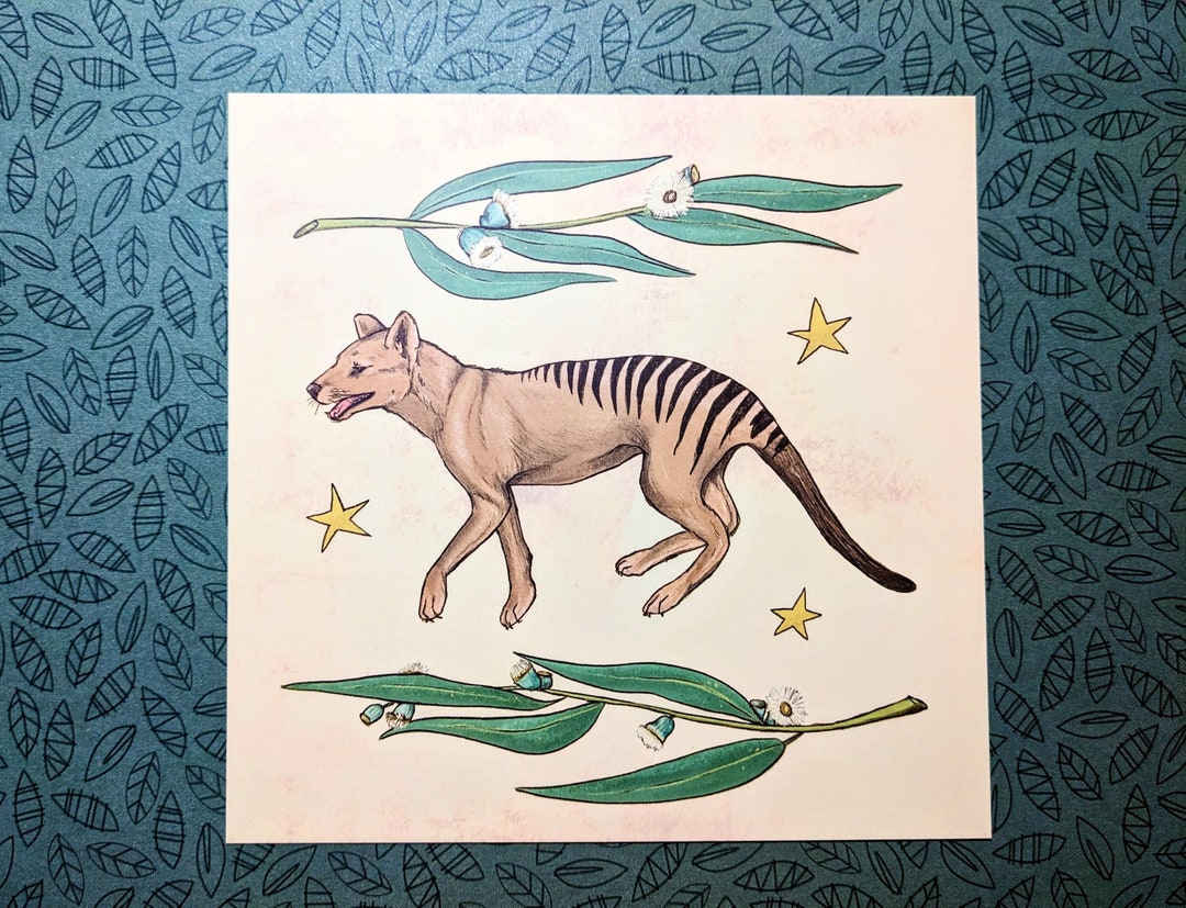 Thylacine Tasmanian Tiger Art Print 5x5in - Etsy Australia