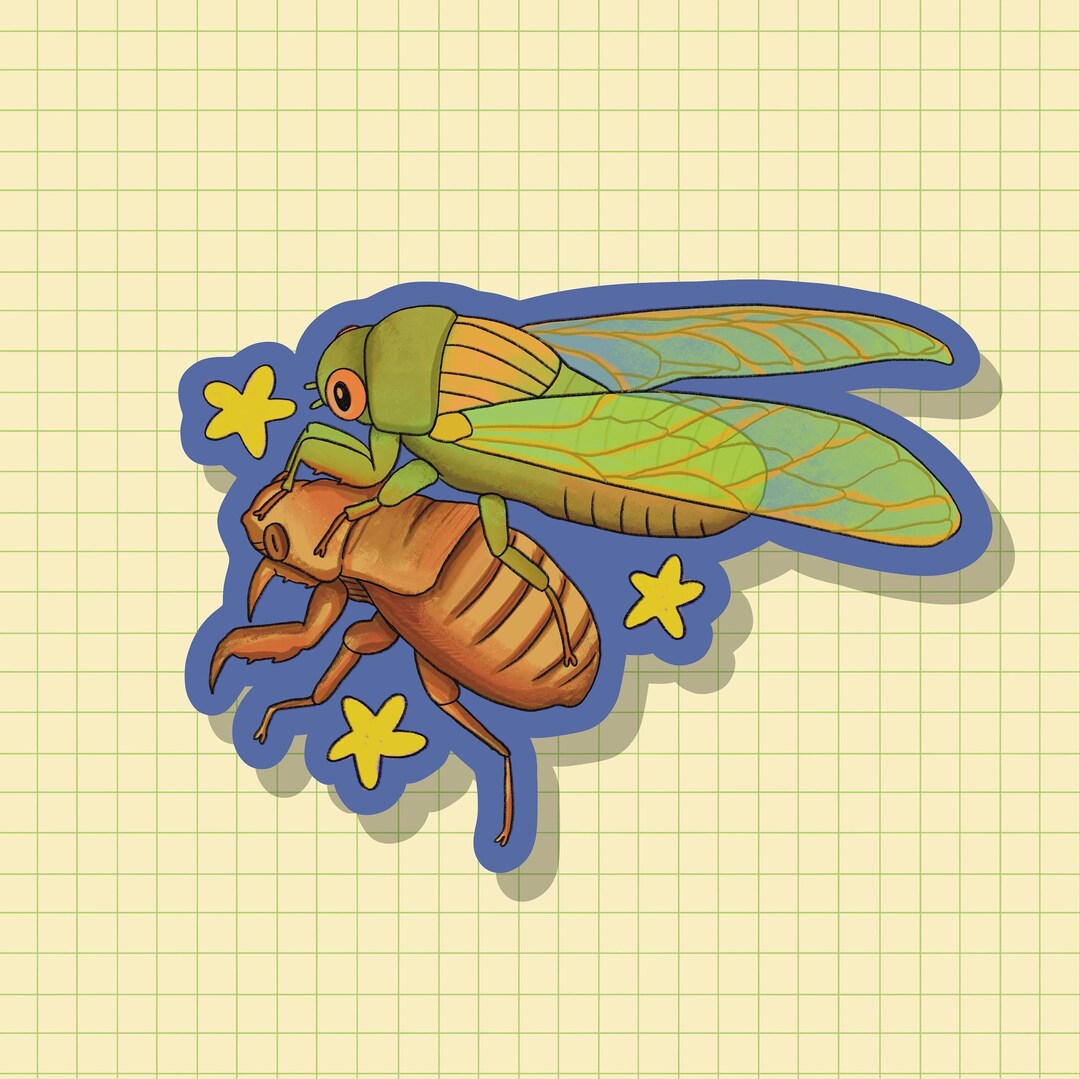 Cicada Sticker OR Magnet | Die Cut | Waterproof Vinyl - Etsy