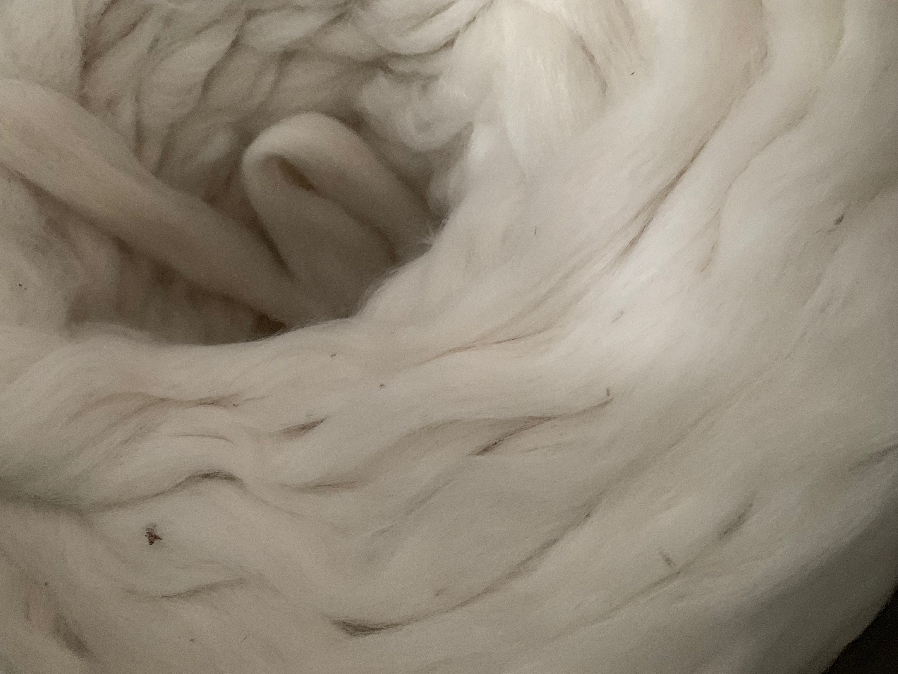 Rare Suri Alpaca Fleece,fibre and Yarn and Rovings - Etsy