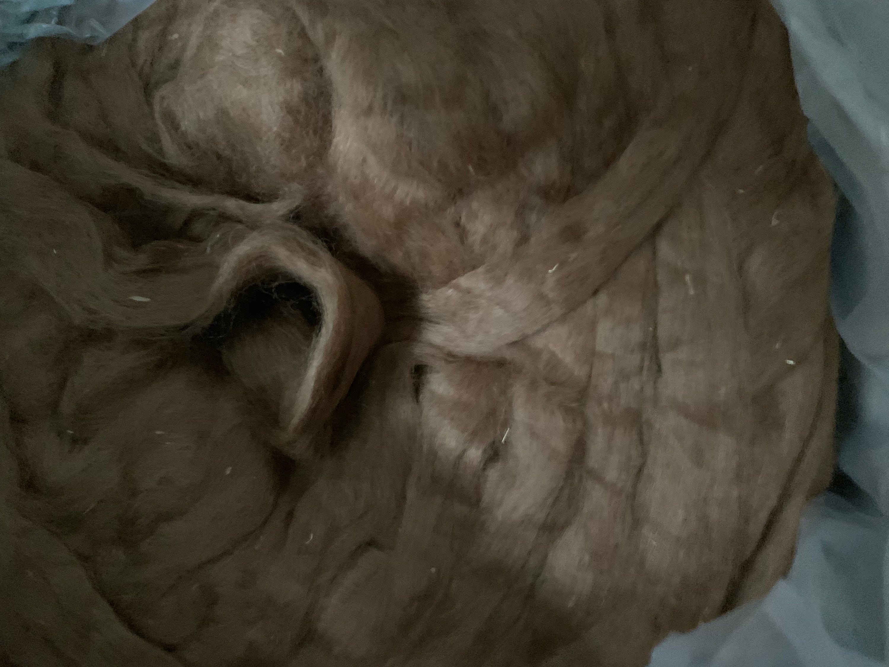 Rare Suri Alpaca Fleece,fibre and Yarn and Rovings - Etsy