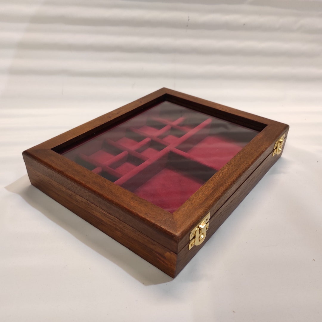 Refined Wooden and Glass Case for Generic Collections Also for Fossils ...