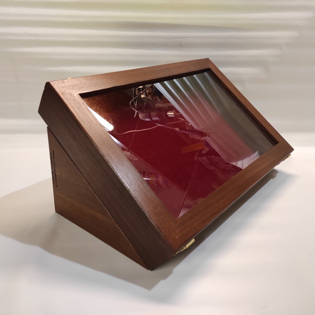 Refined Wooden and Glass Case for Generic Collections Also for Fossils ...