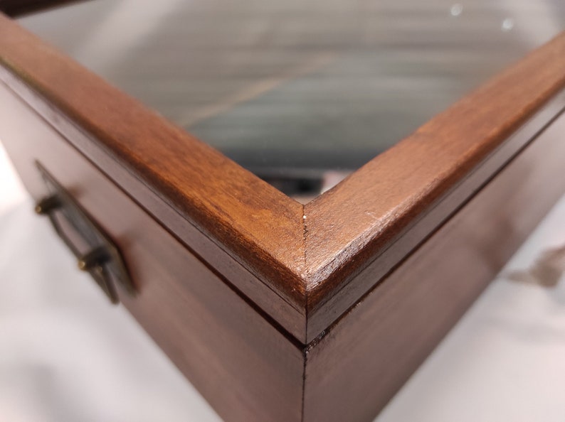 Wooden Coin Box With 5 Numismatic Trays in Italian Velvet. Customizable ...