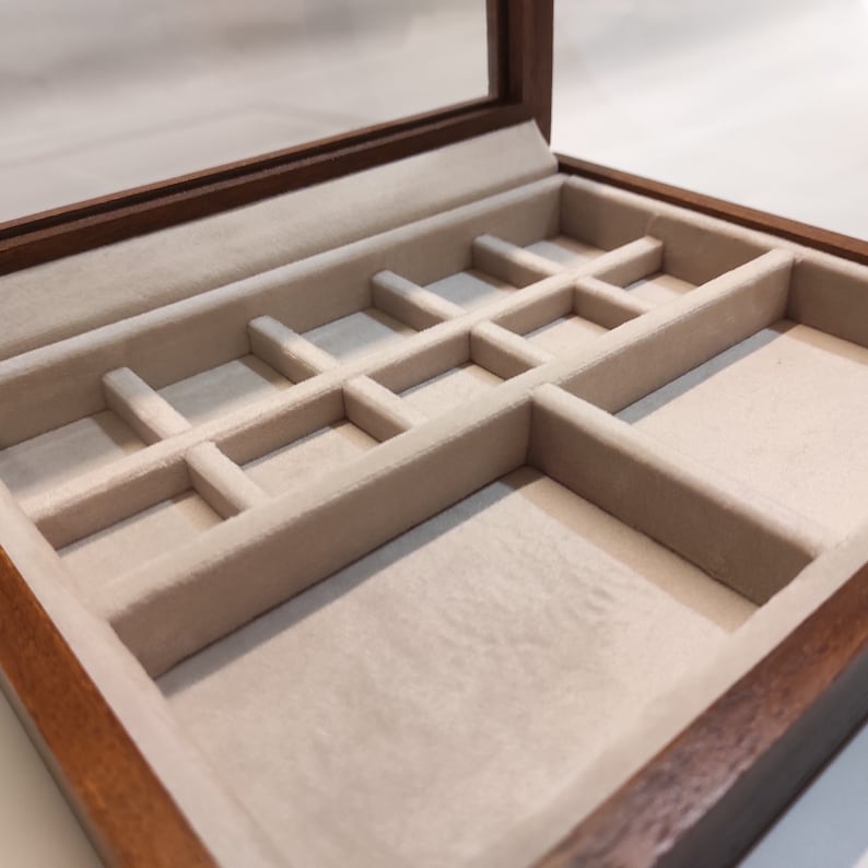 Refined Wooden and Glass Case for Generic Collections Also for Fossils ...