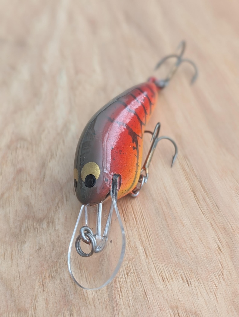 Stanford Cedar Shad Crankbait Shallow in Bama Spring Craw by Believers ...