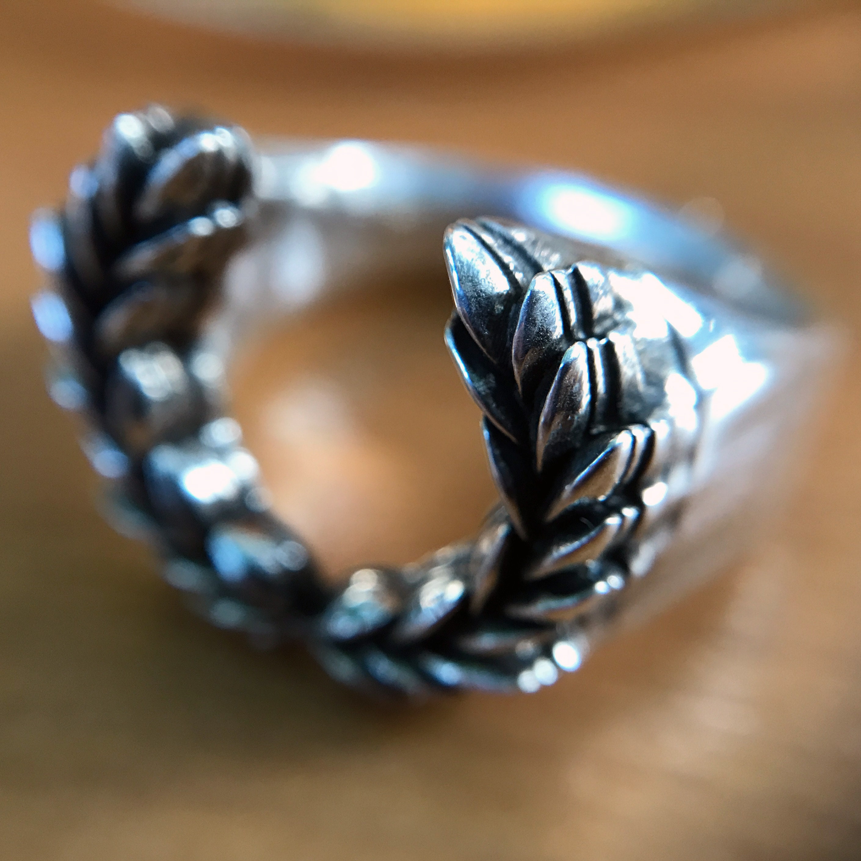 Ring laurel wreath Silber 925 Siegelring - Etsy.de
