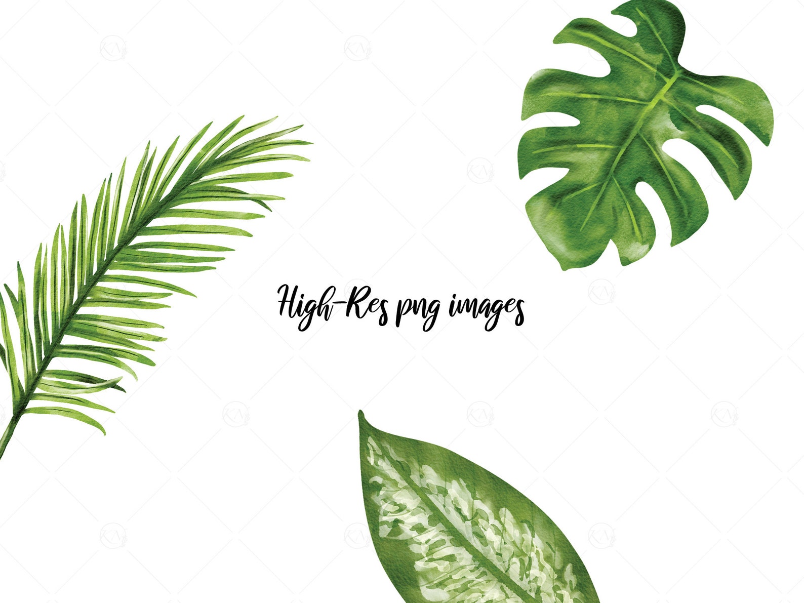 Tropical Leaves Watercolor Clipart - PNG Instant Download - Greenery ...
