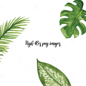 Tropical Leaves Watercolor Clipart - PNG Instant Download - Greenery ...