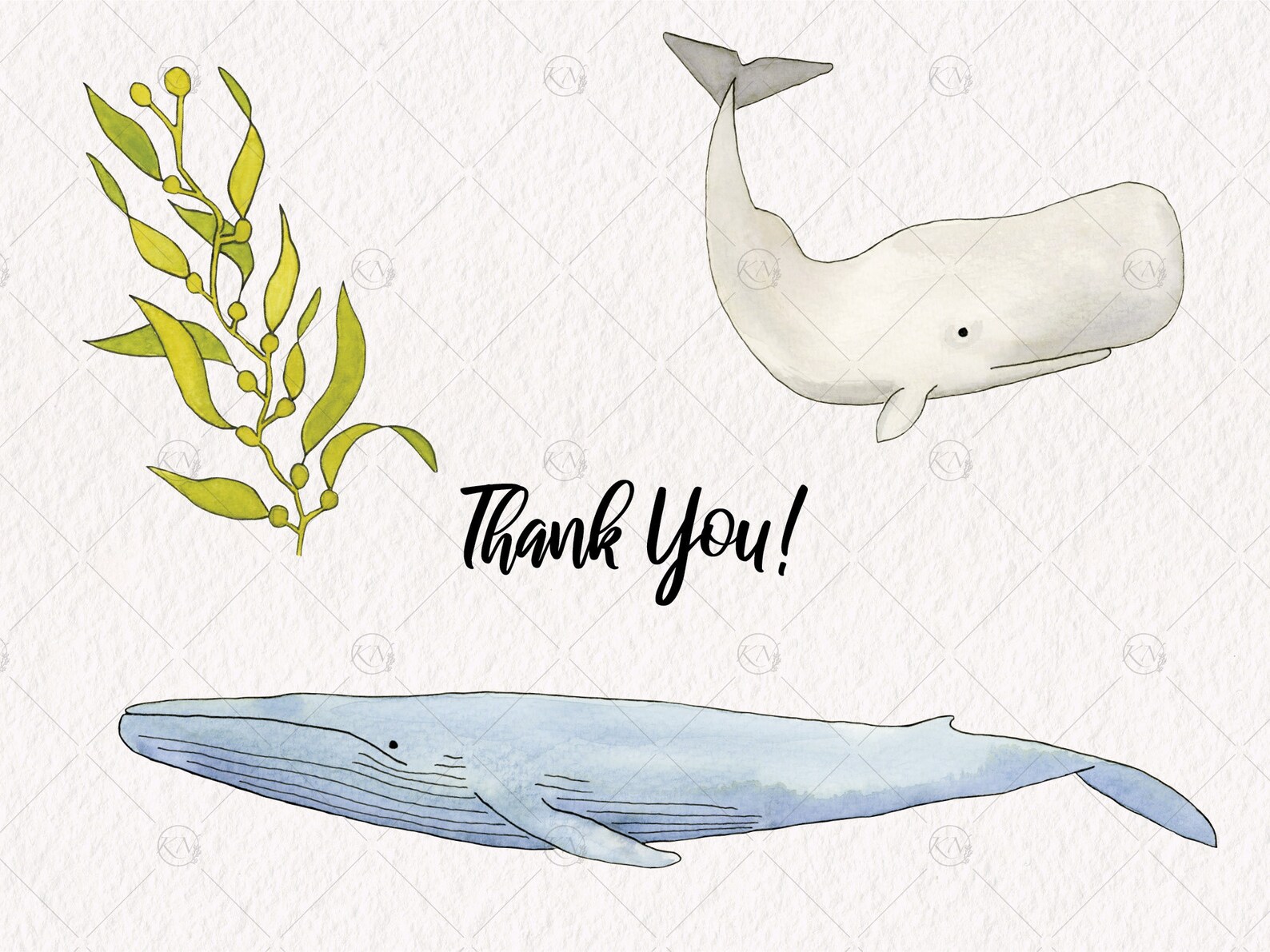 Watercolor Whales Clipart - PNG Instant Download - Ocean - Sea Life ...