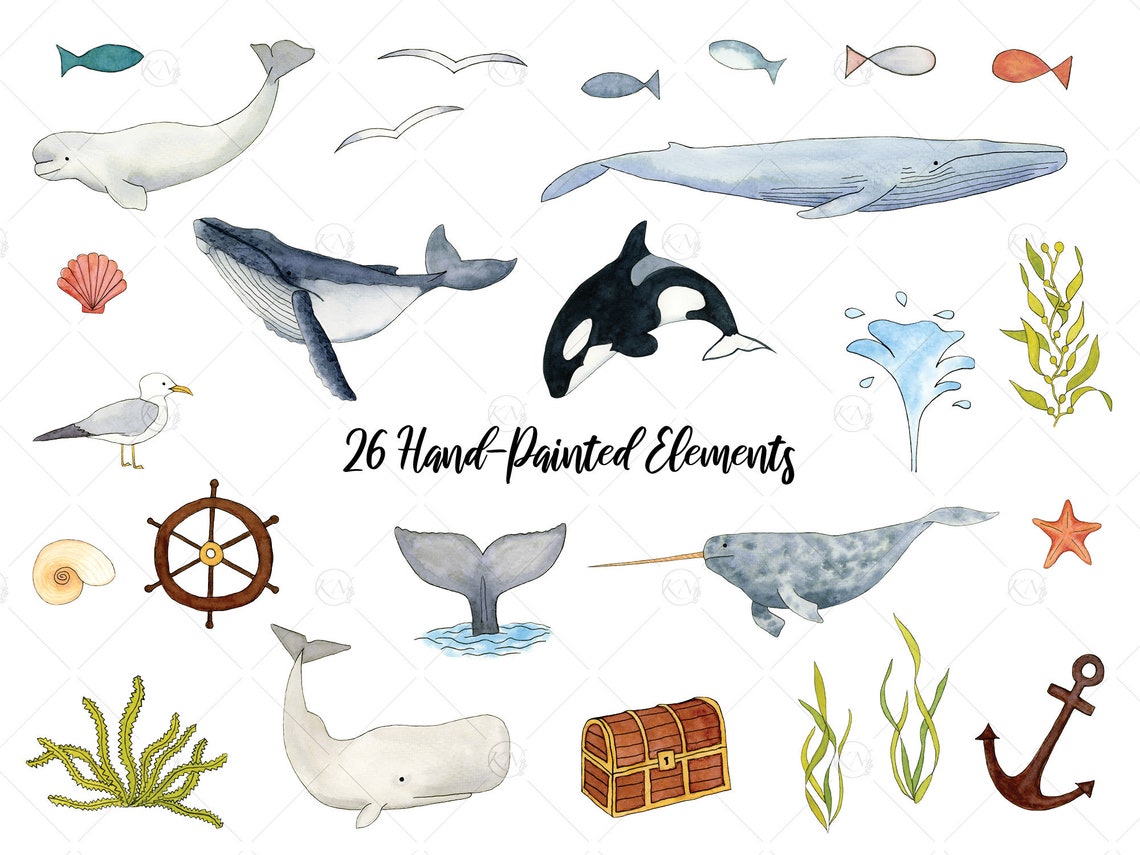 Watercolor Whales Clipart - PNG Instant Download - Ocean - Sea Life ...
