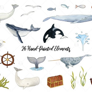 Watercolor Whales Clipart - PNG Instant Download - Ocean - Sea Life ...