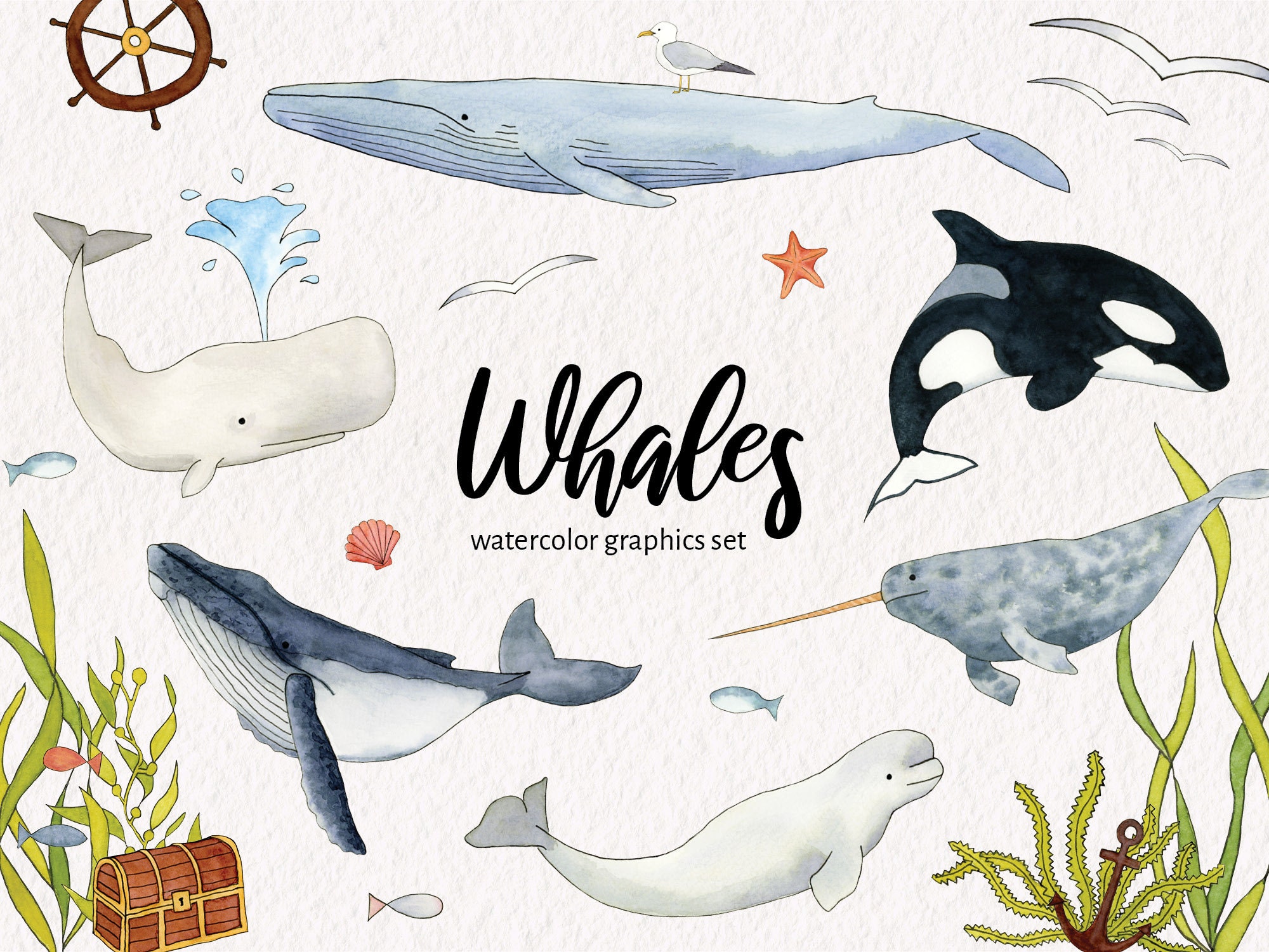 Watercolor Whales Clipart - PNG Instant Download - Ocean - Sea Life ...