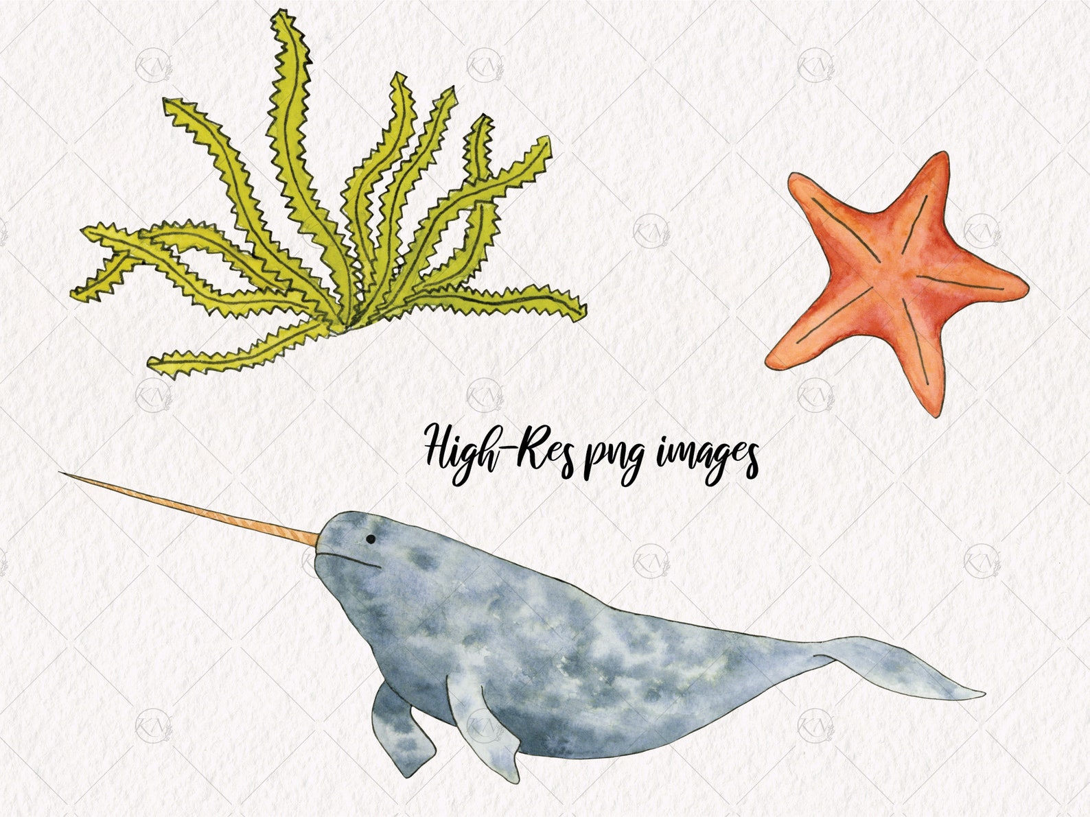 Watercolor Whales Clipart - PNG Instant Download - Ocean - Sea Life ...