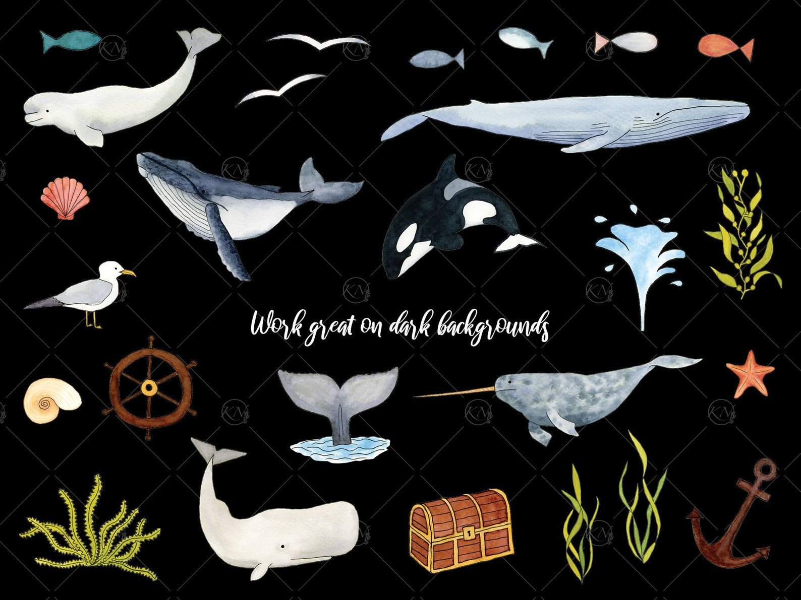 Watercolor Whales Clipart - PNG Instant Download - Ocean - Sea Life ...