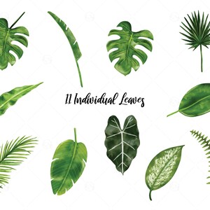 Tropical Leaves Watercolor Clipart - PNG Instant Download - Greenery ...