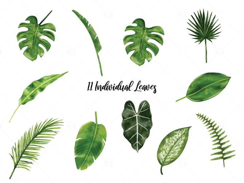 Tropical Leaves Watercolor Clipart - PNG Instant Download - Greenery ...