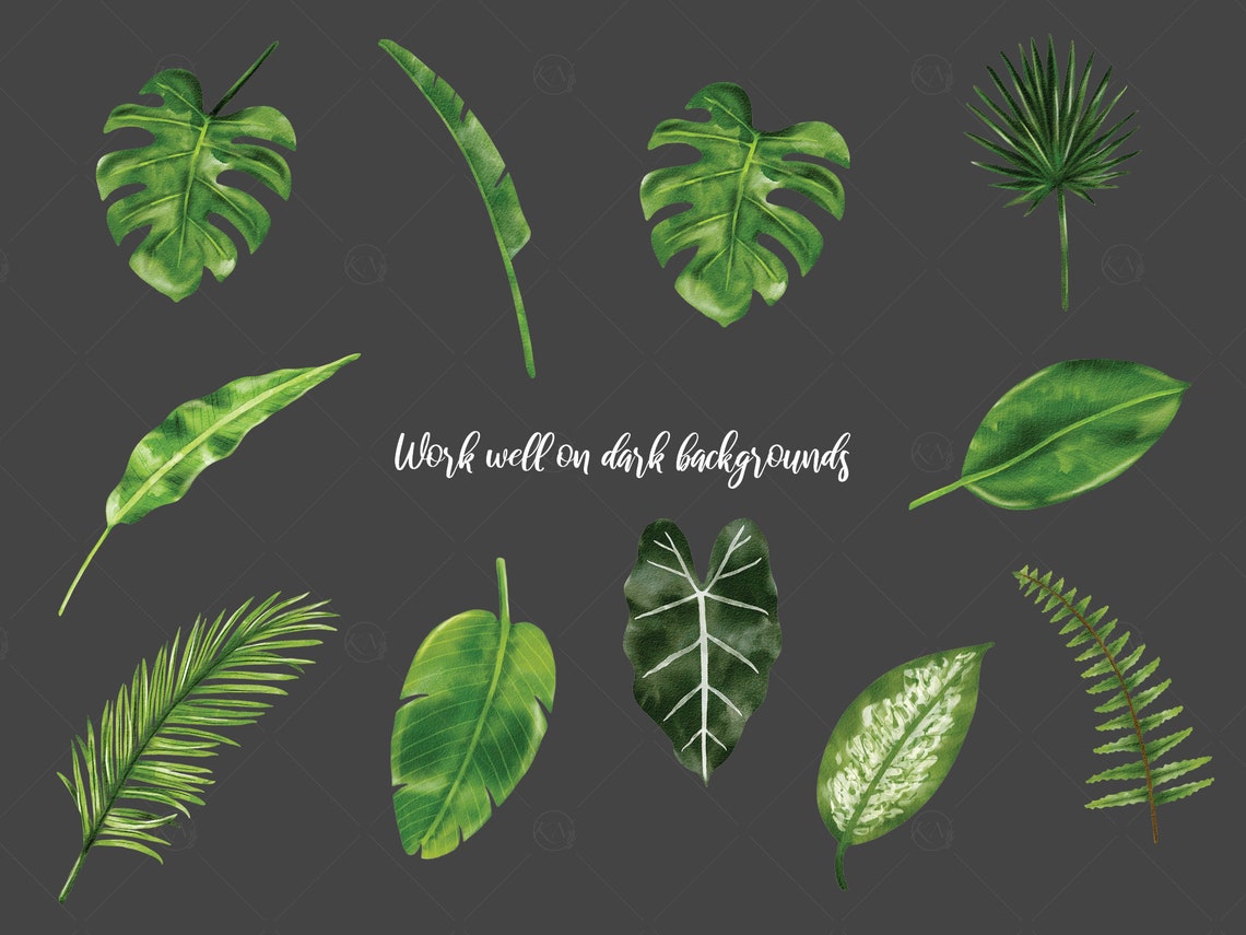 Tropical Leaves Watercolor Clipart PNG Instant Download Greenery Jungle ...