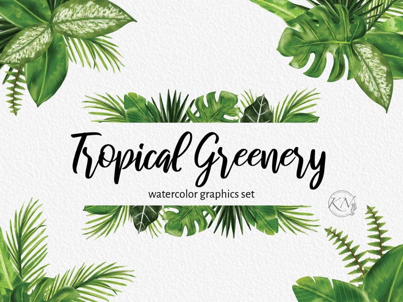 Tropical Leaves Watercolor Clipart - PNG Instant Download - Greenery ...