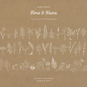 Woodland Clip Art, Ferns and Mushrooms, Fox, Rabbit, Owl, Fawn ...