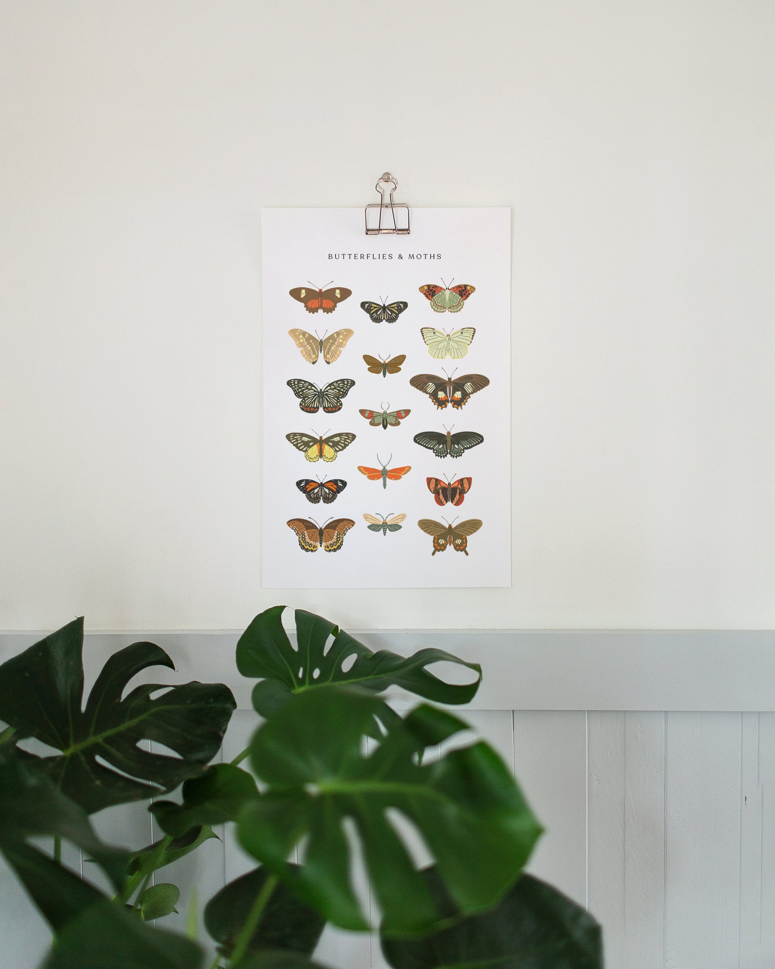 Butterfly Poster Colorful Butterflies Art Butterfly Science - Etsy